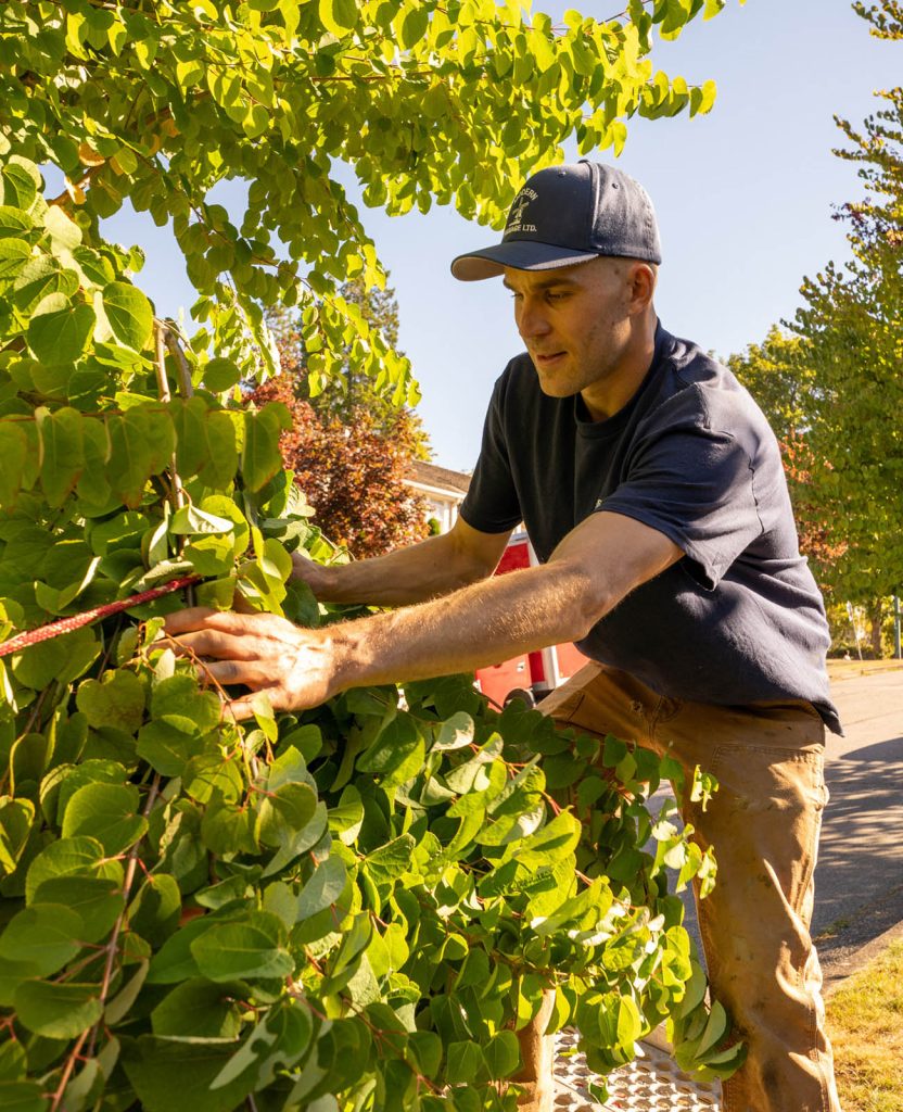 Drainage Contractor in North Vancouver | Modern Drainage